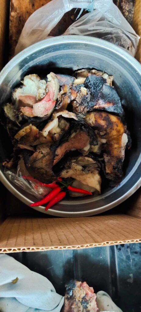 Charges readied vs group who slaughtered dog for ‘pulutan’ – Centro ...